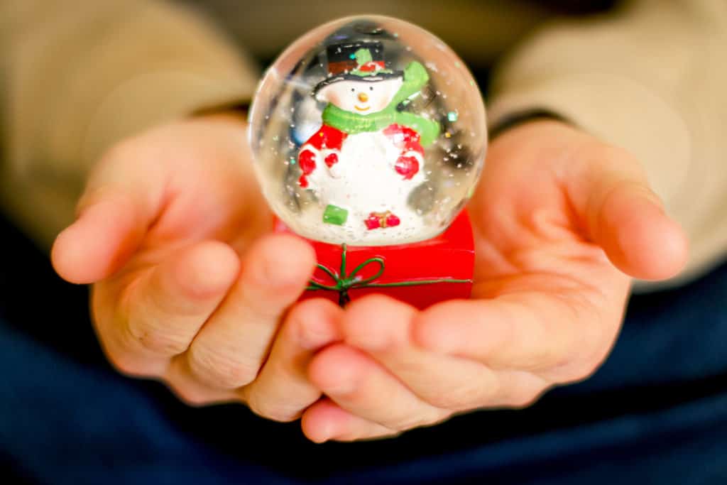 Should I Buy My Exchange Student Christmas Or Birthday Gifts Host should-i-buy-my-exchange-student-christmas-or-birthday-gifts-host